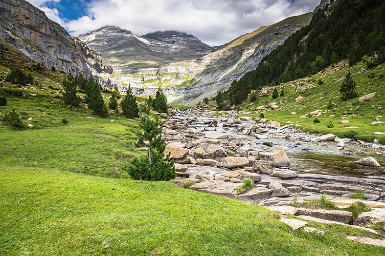 Tours – Improving Travel